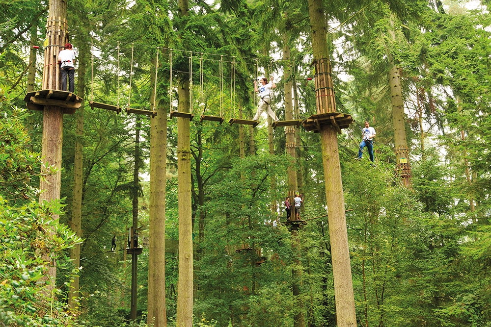 GoApe Reopens for Feb Half Term – Scunthorpe Nights